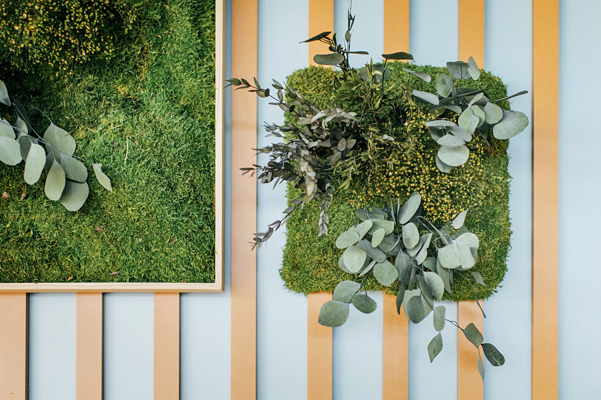 Experiencia inmersiva con la naturaleza en el espacio de Greenarea ...