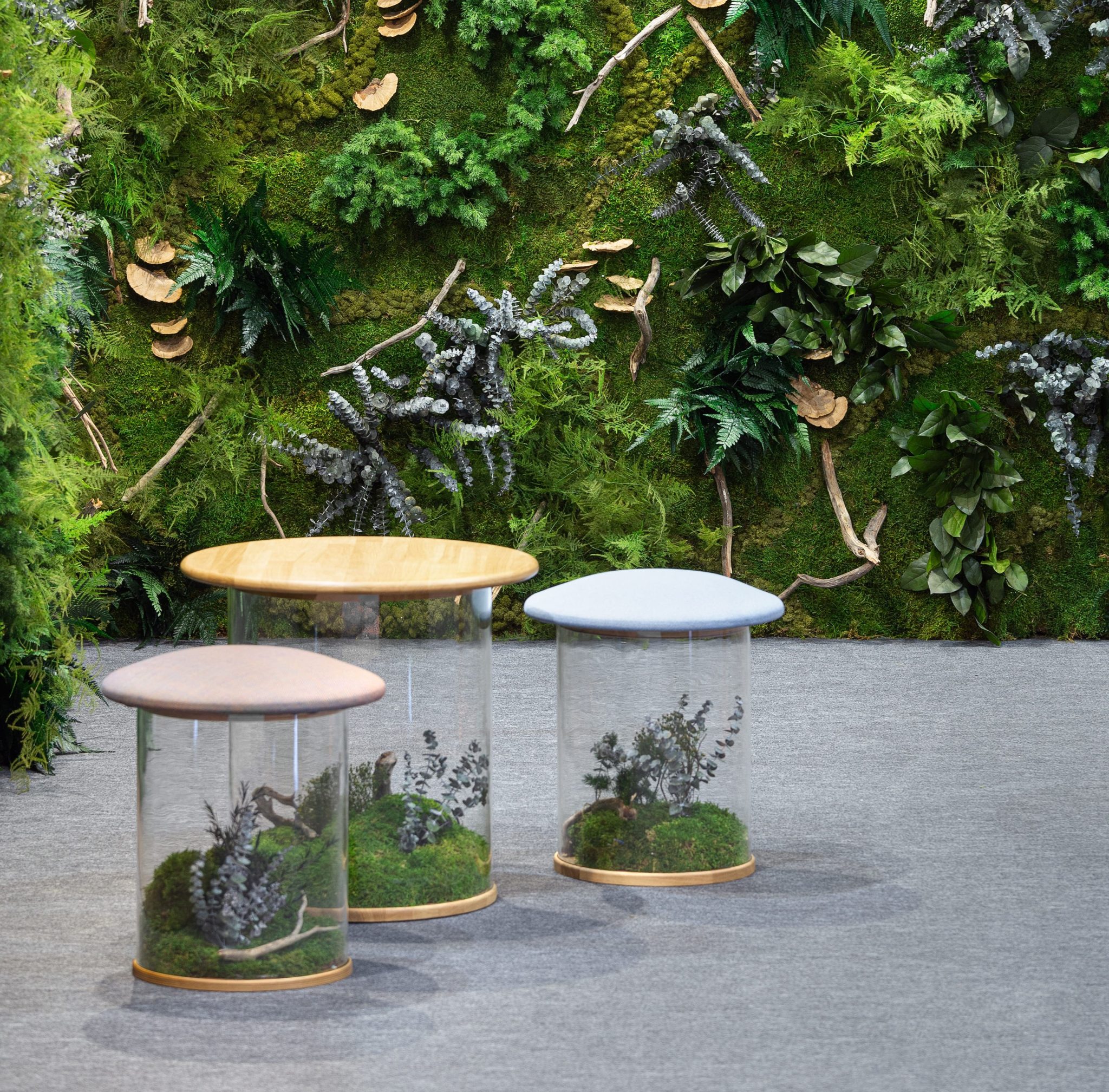 Experiencia inmersiva con la naturaleza en el espacio de Greenarea ...